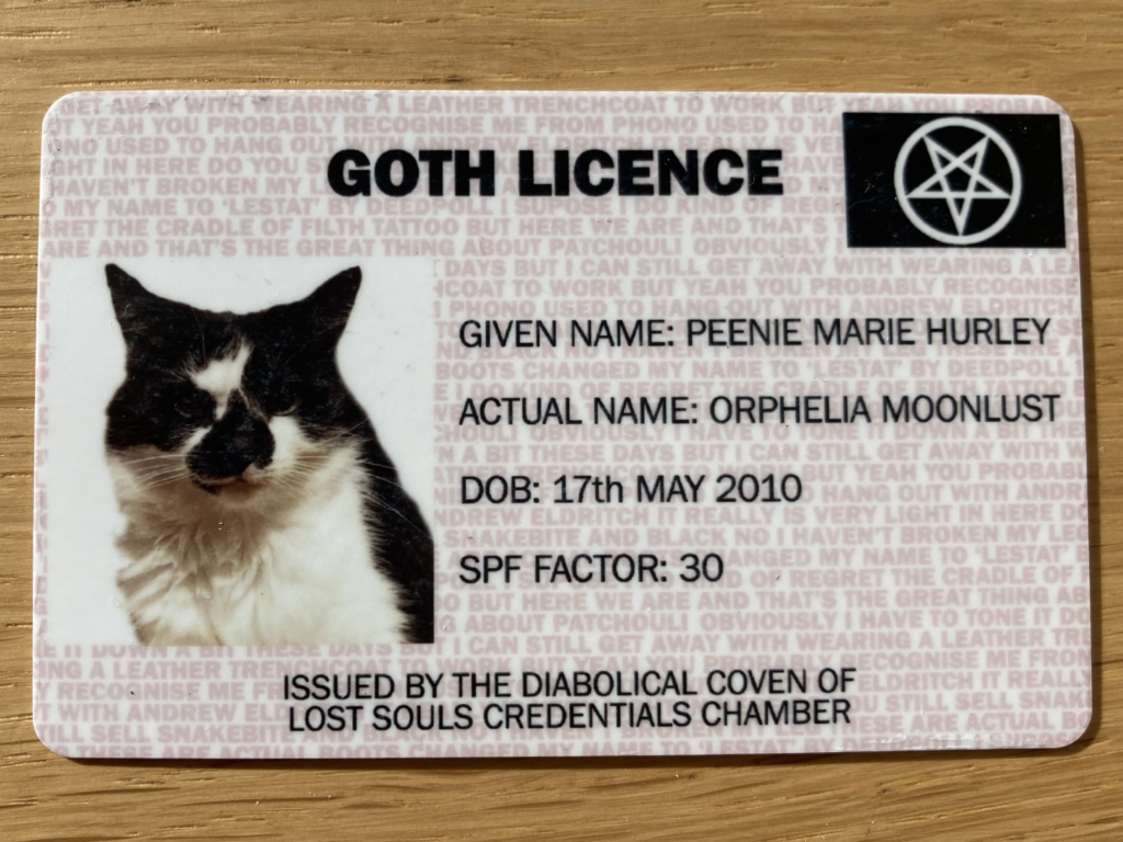 Personalised Goth Licence - Loudribs.com